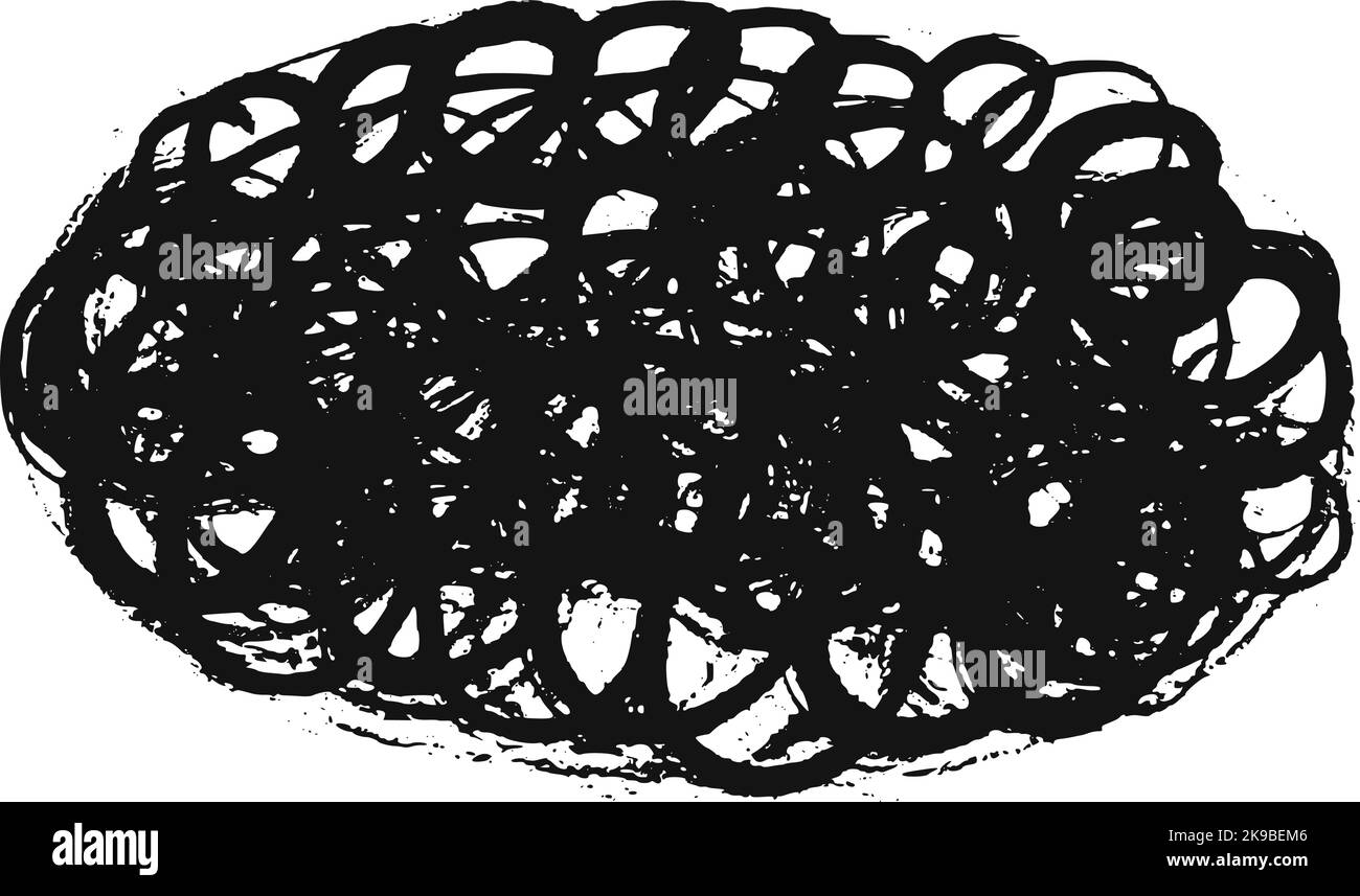 Hatching drawing hi-res stock photography and images - Alamy