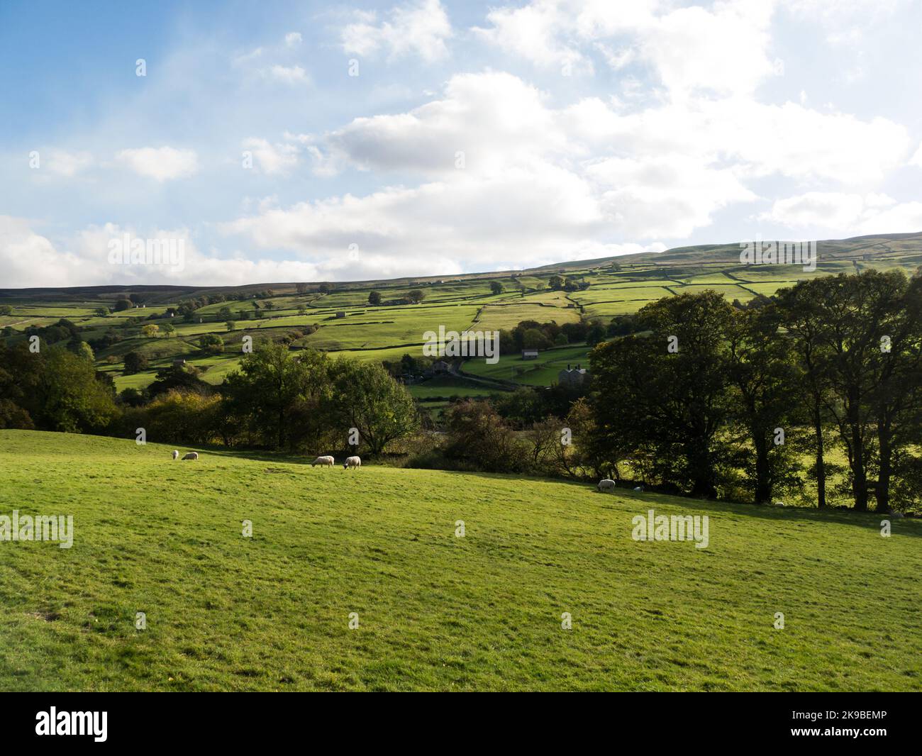 Drystone walls enclosing fields hi-res stock photography and images - Alamy
