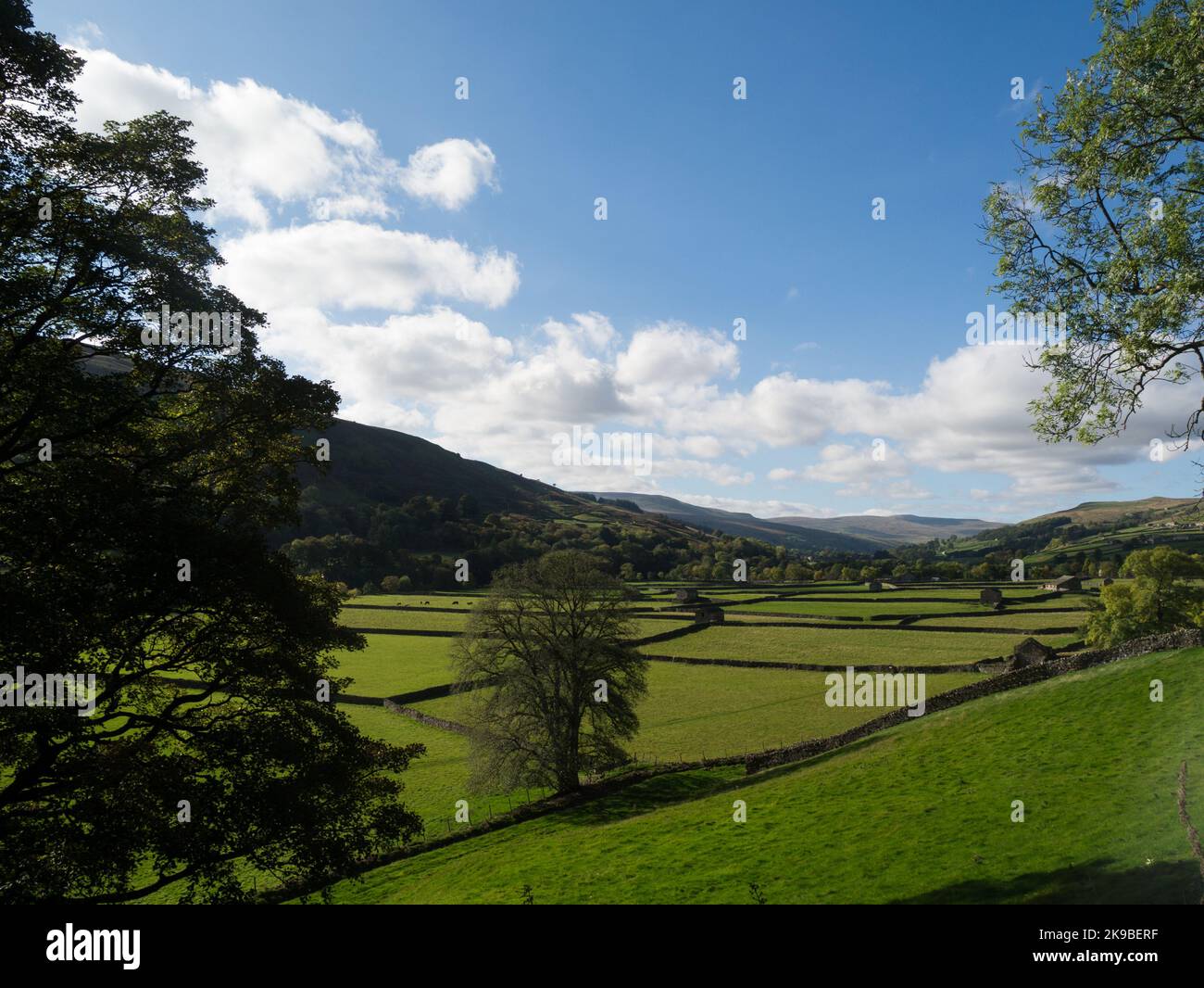 View across Swaledale Yorkshire Dales National Park North Yorkshire ...
