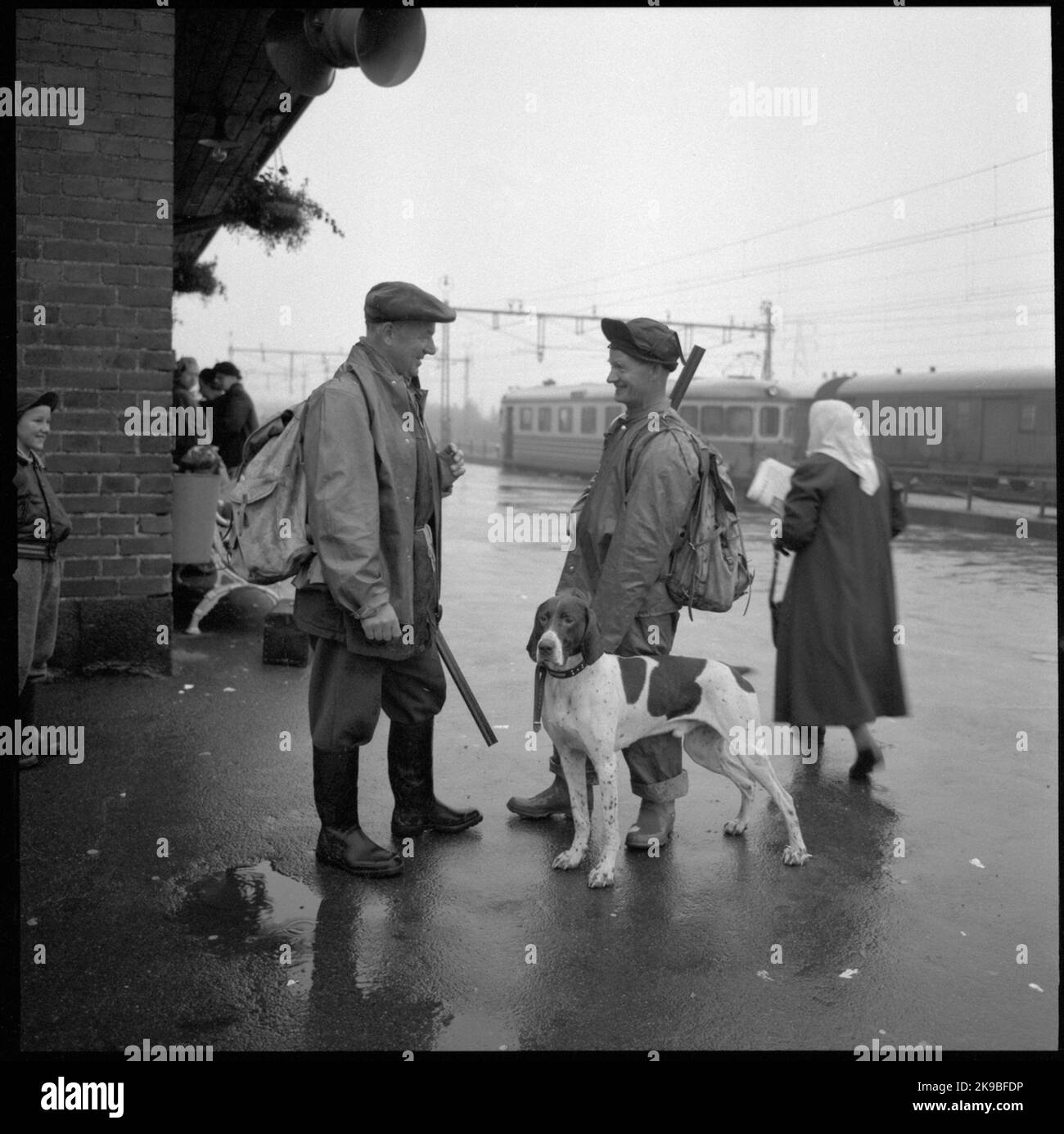 Swedish hunter hi-res stock photography and images - Alamy