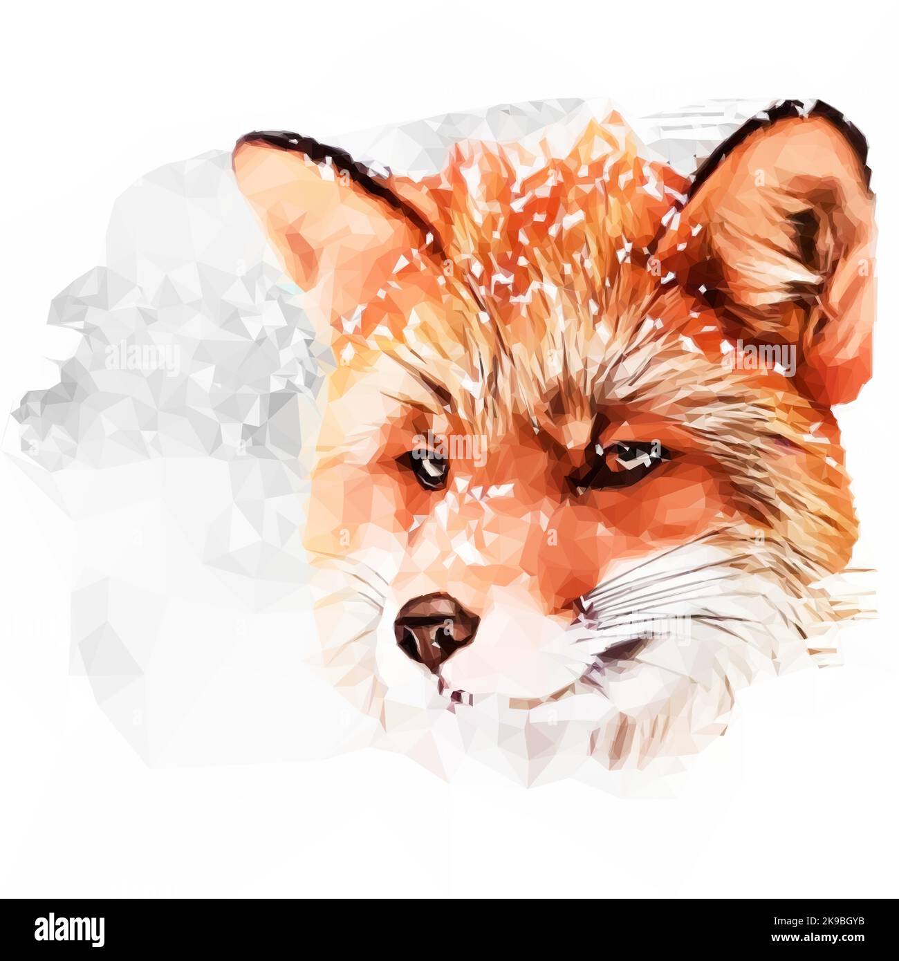 Fox portrait illustration. The animal looks into the distance ...