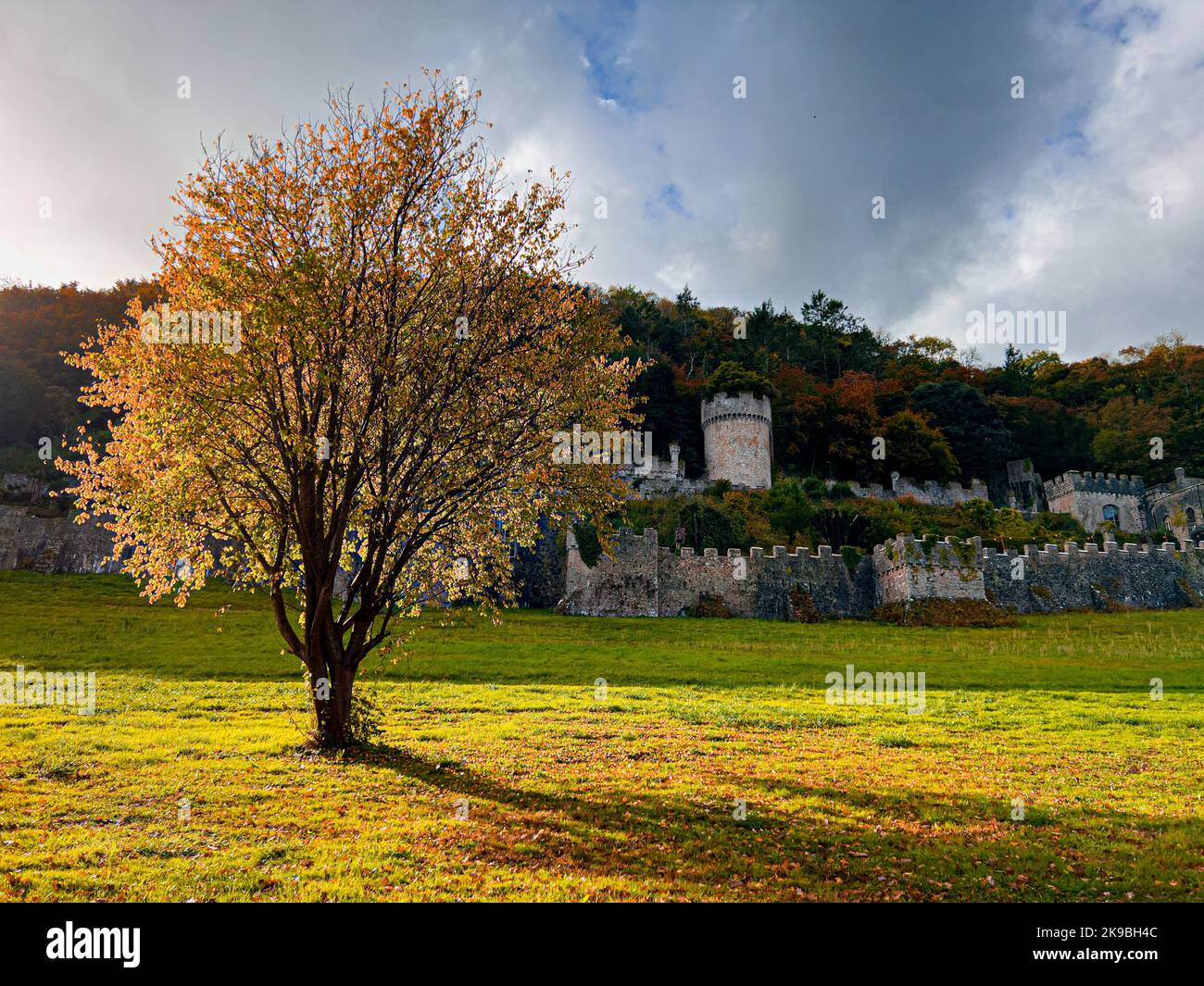 Gwrych Castle, Wales Stock Photo - Alamy