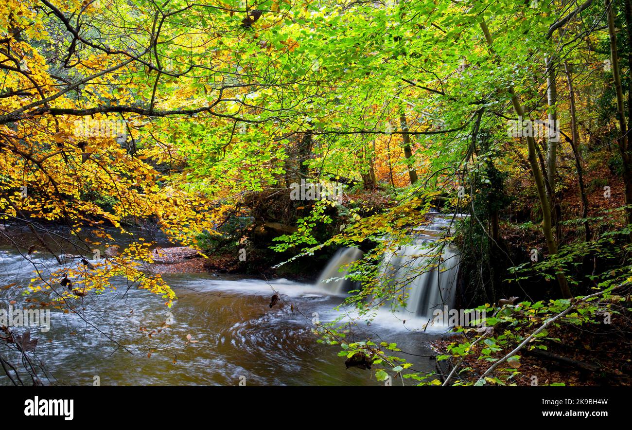 Waterfall at Gore Glen Woodland park, Midlothian ,Scotland Stock Photo ...