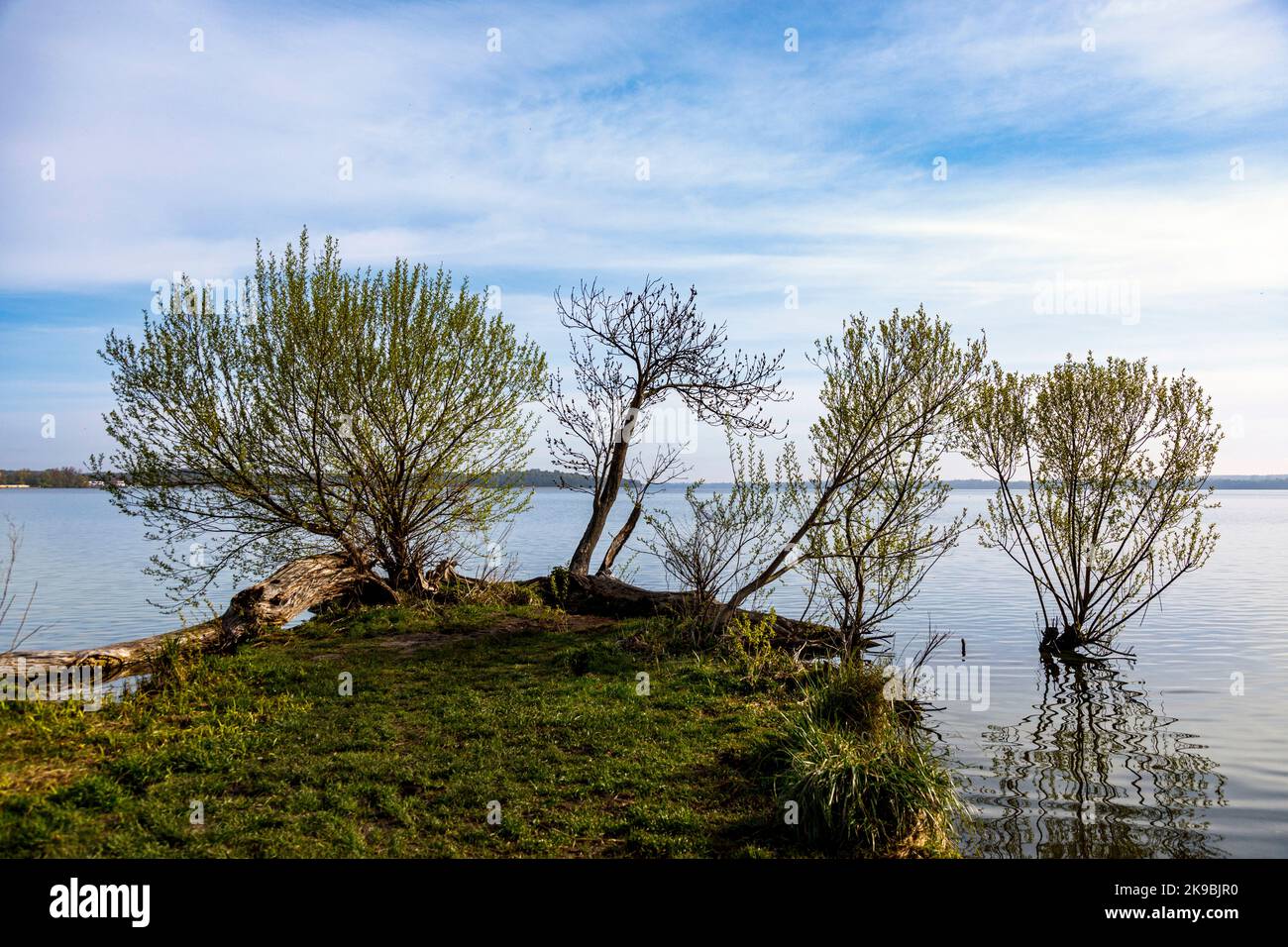 Shore of Lake Schwerin at the viewpoint Adebors Näs (Northern German ...