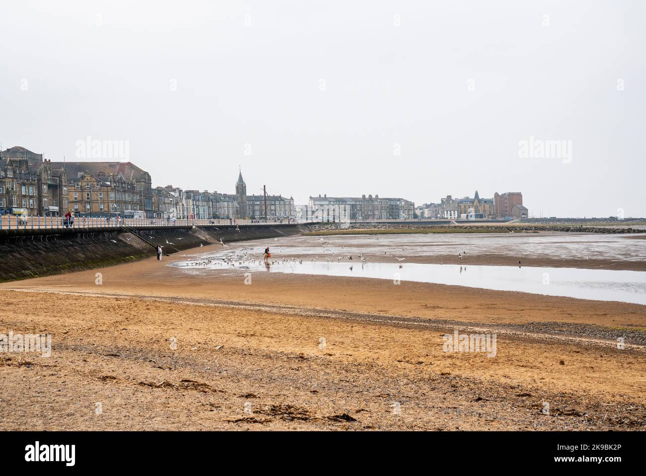 Feeding the birds, at West End, Morecambe, Lancashire, UK Stock Photo ...
