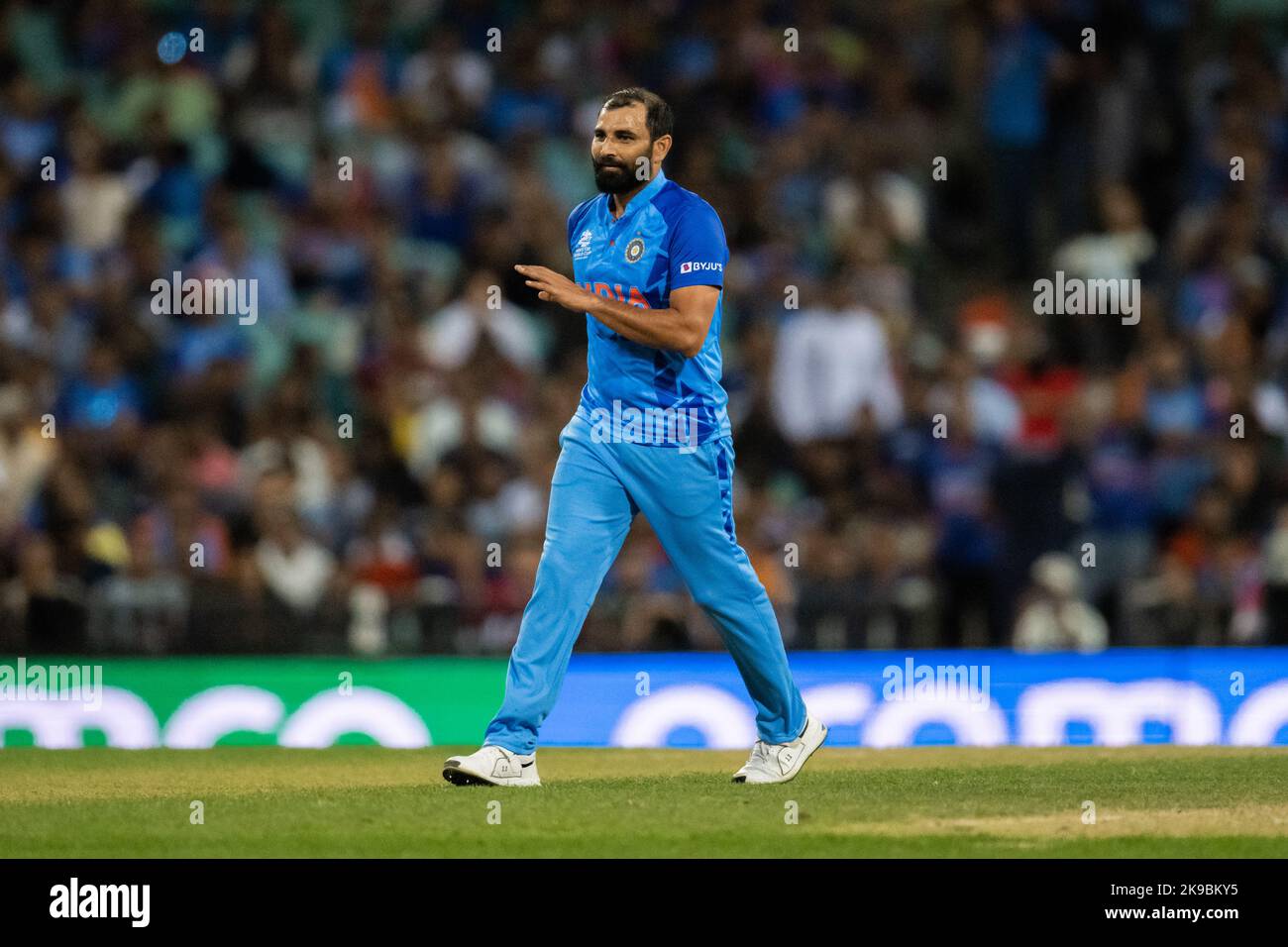 Mohammed Shami of India prepares to bowl during the ICC men's Twenty20 ...