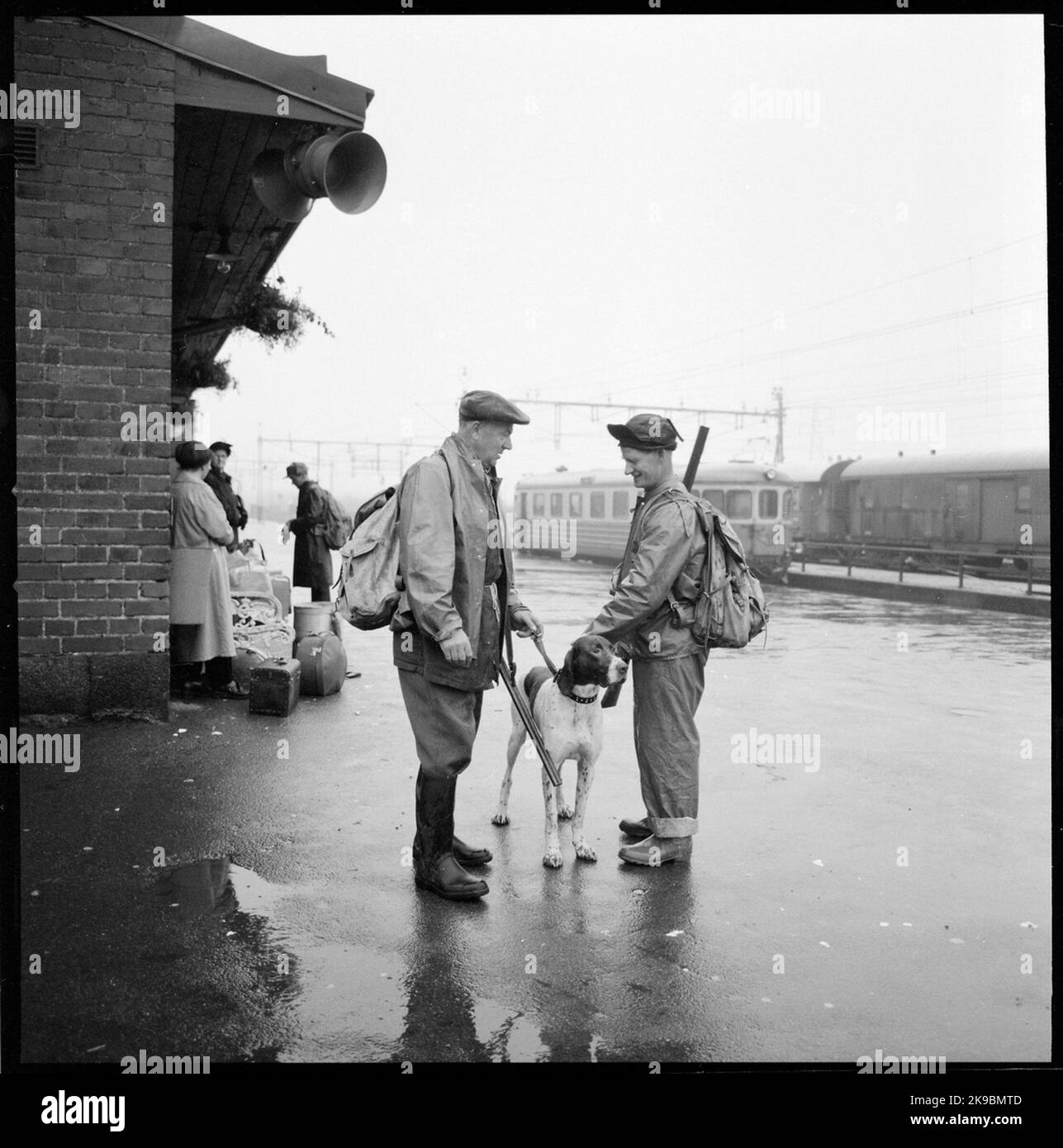 Two hunters with equipment and hunting dogs on the platform Stock Photo ...