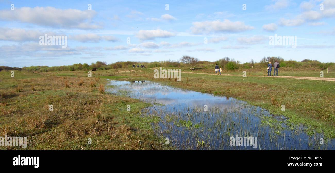 Nature recreation in “de Nederlanden” on the Wadden island of Texel in ...