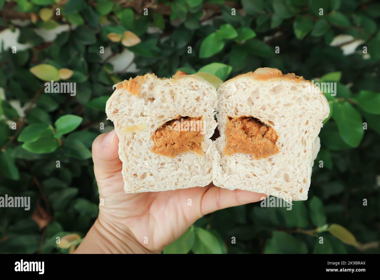 bun or bread with pork stuffed or dried pork bread, dried shredded pork ...