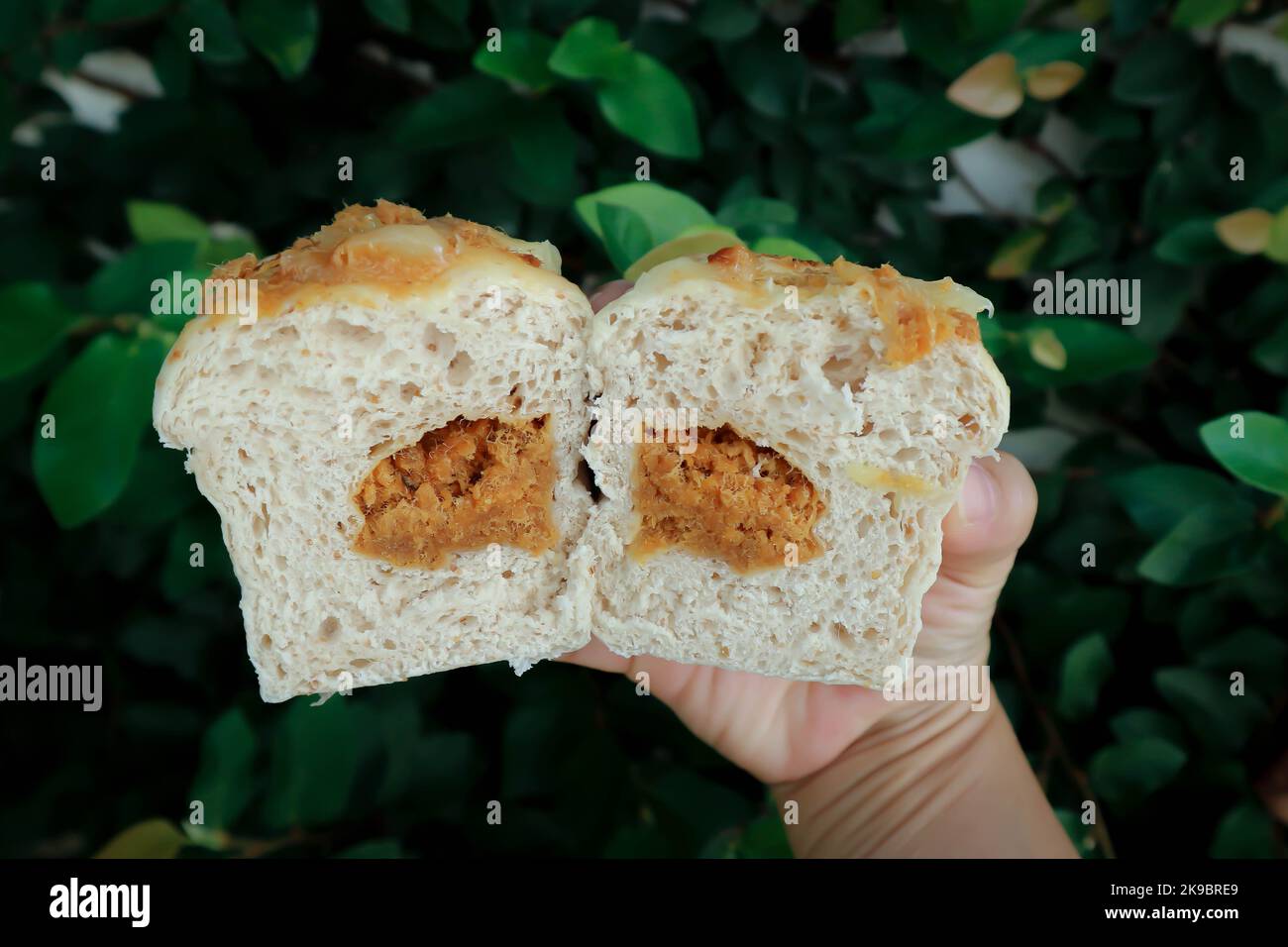 bun or bread with pork stuffed or dried pork bread, dried shredded pork ...