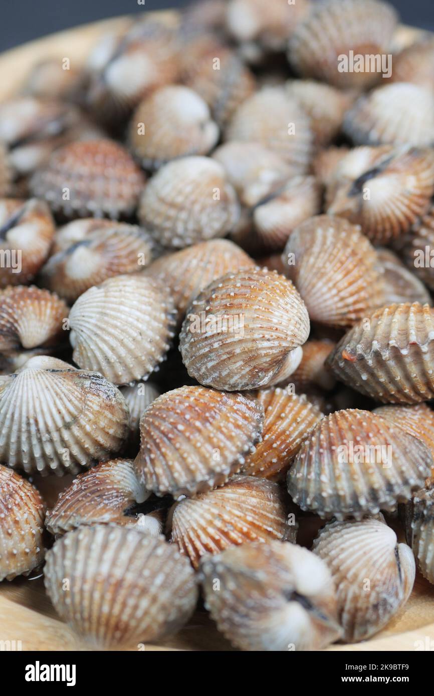 Dolly shot hi-res stock photography and images - Alamy