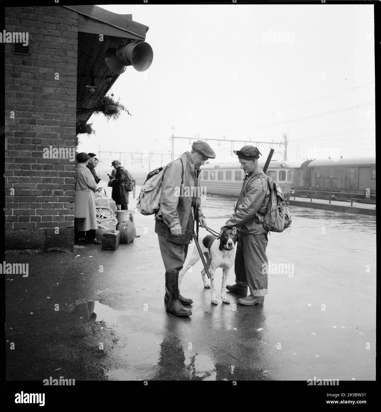 Two hunters with equipment and hunting dogs on the platform Stock Photo ...