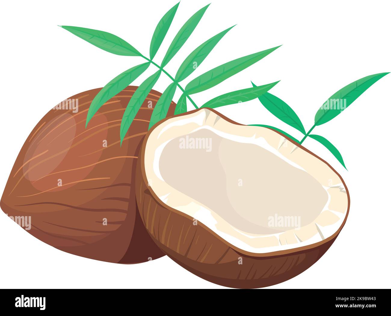 Coconut cartoon icon. Open tropical nut with white milk isolated on ...