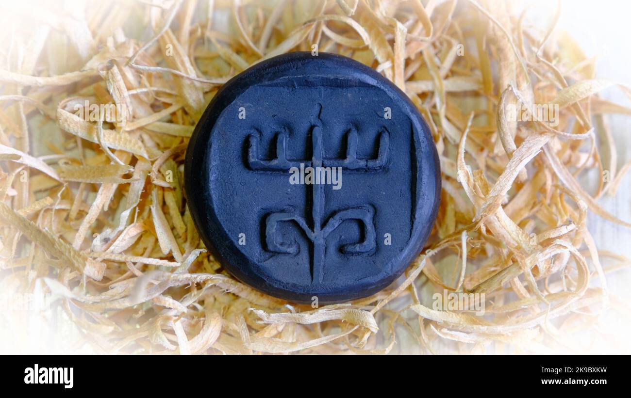 Ancient Latvian signs of strength. Signs of various meanings to promote ...