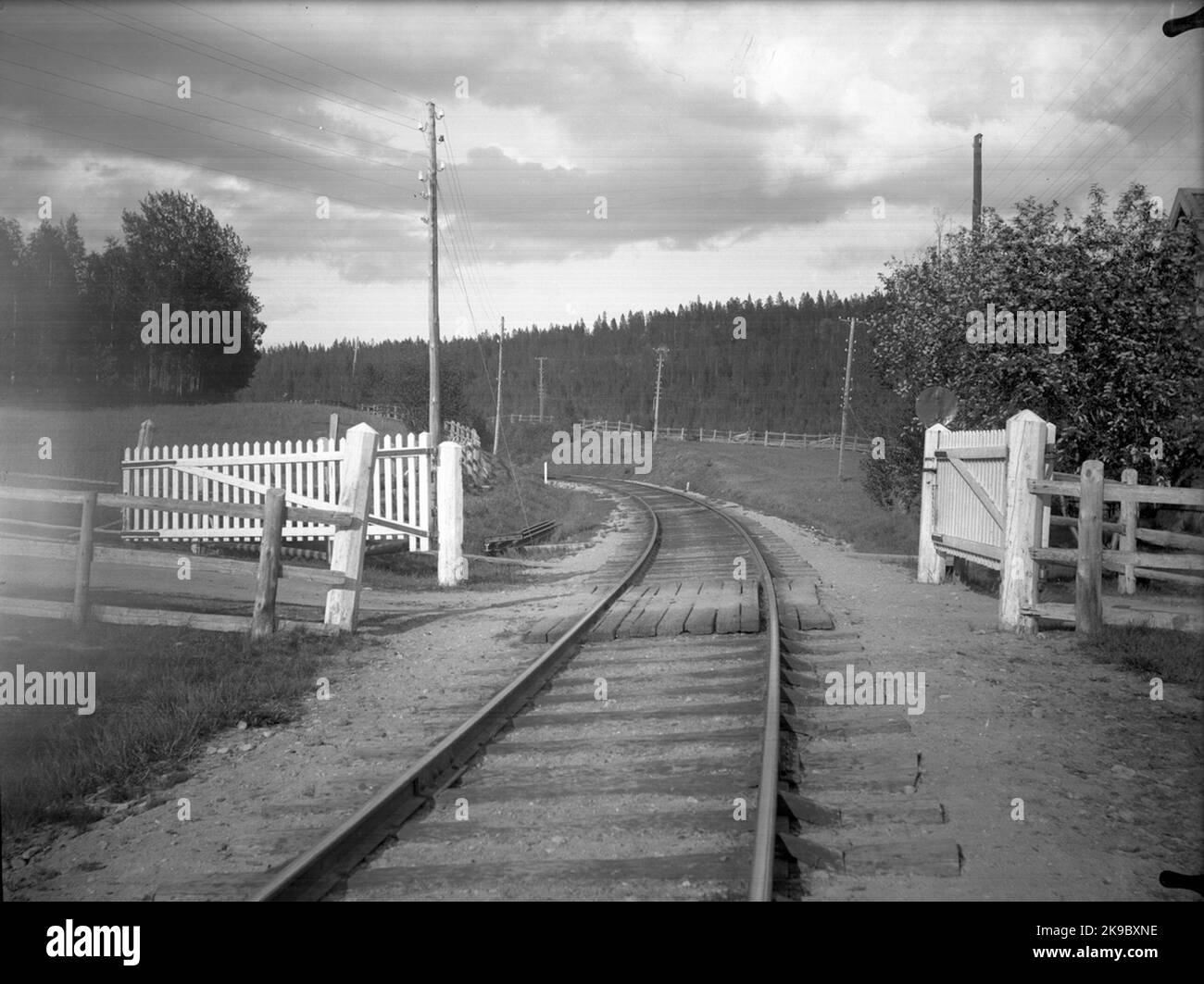 Road crossing with gates Stock Photo - Alamy
