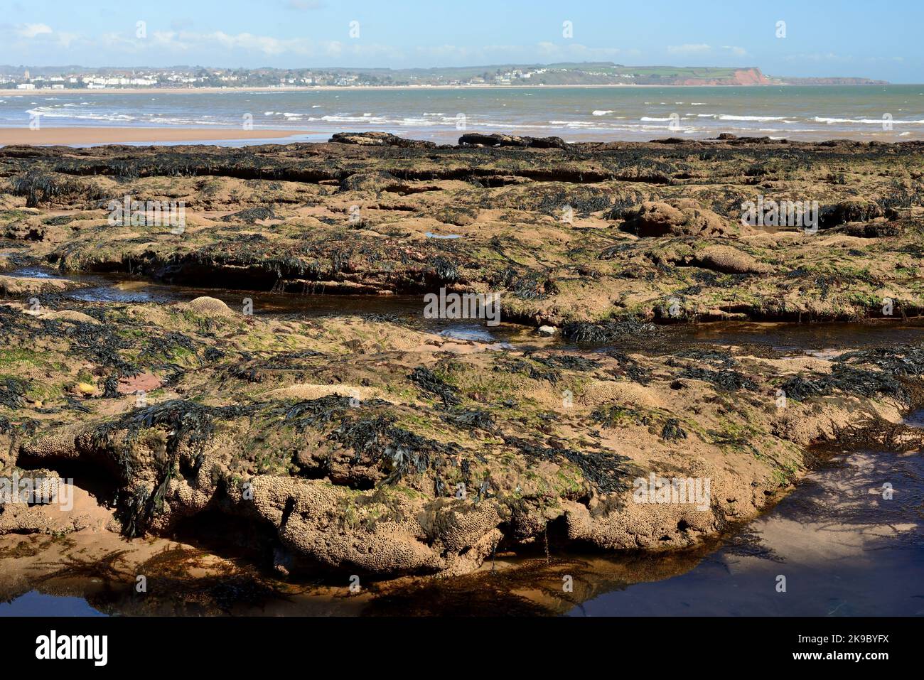 Rock outcrop on the beach at low tide Stock Photo - Alamy