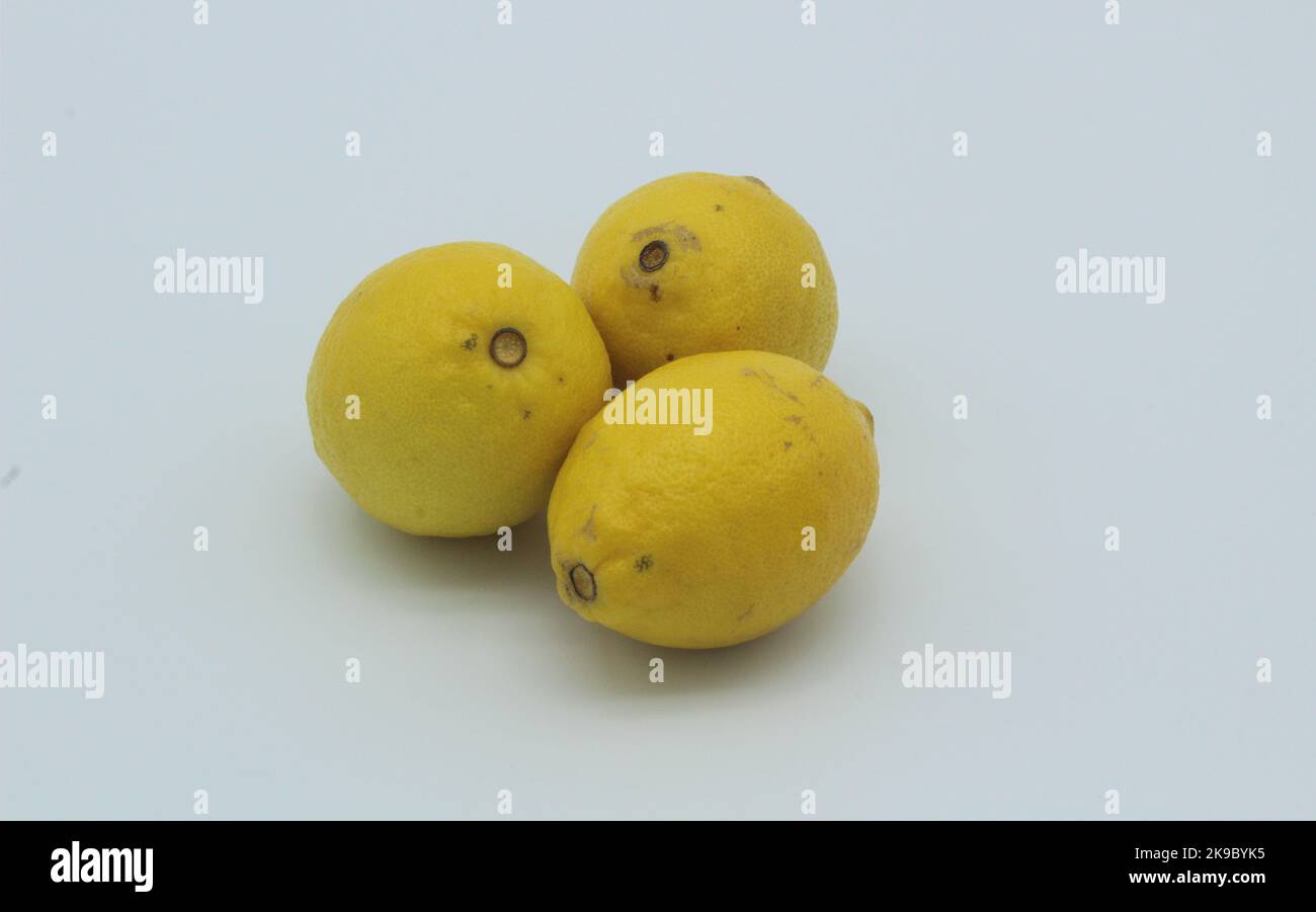 Group of ripe whole yellow lemon citrus fruit isolated on white ...
