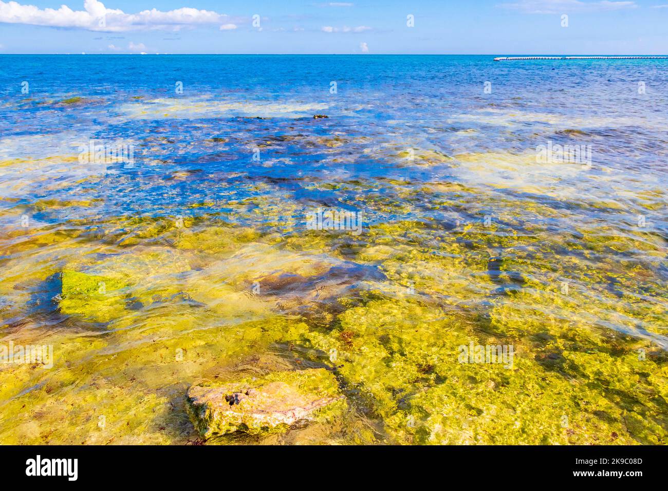 Tropical mexican caribbean beach landscape panorama with clear ...
