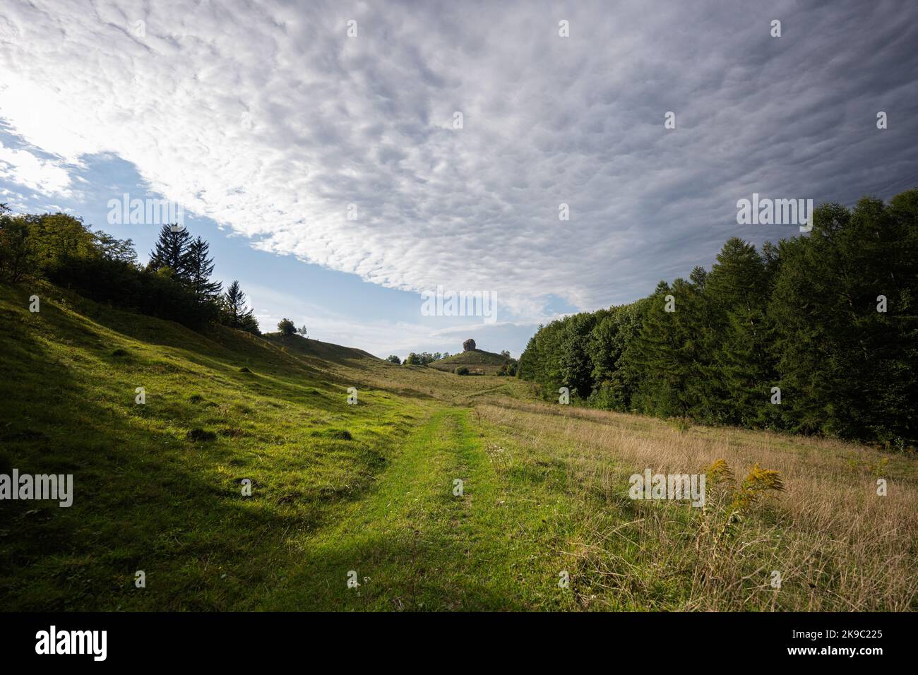 Pidkamin inselberg stone on hill landscape. Ukraine Stock Photo - Alamy