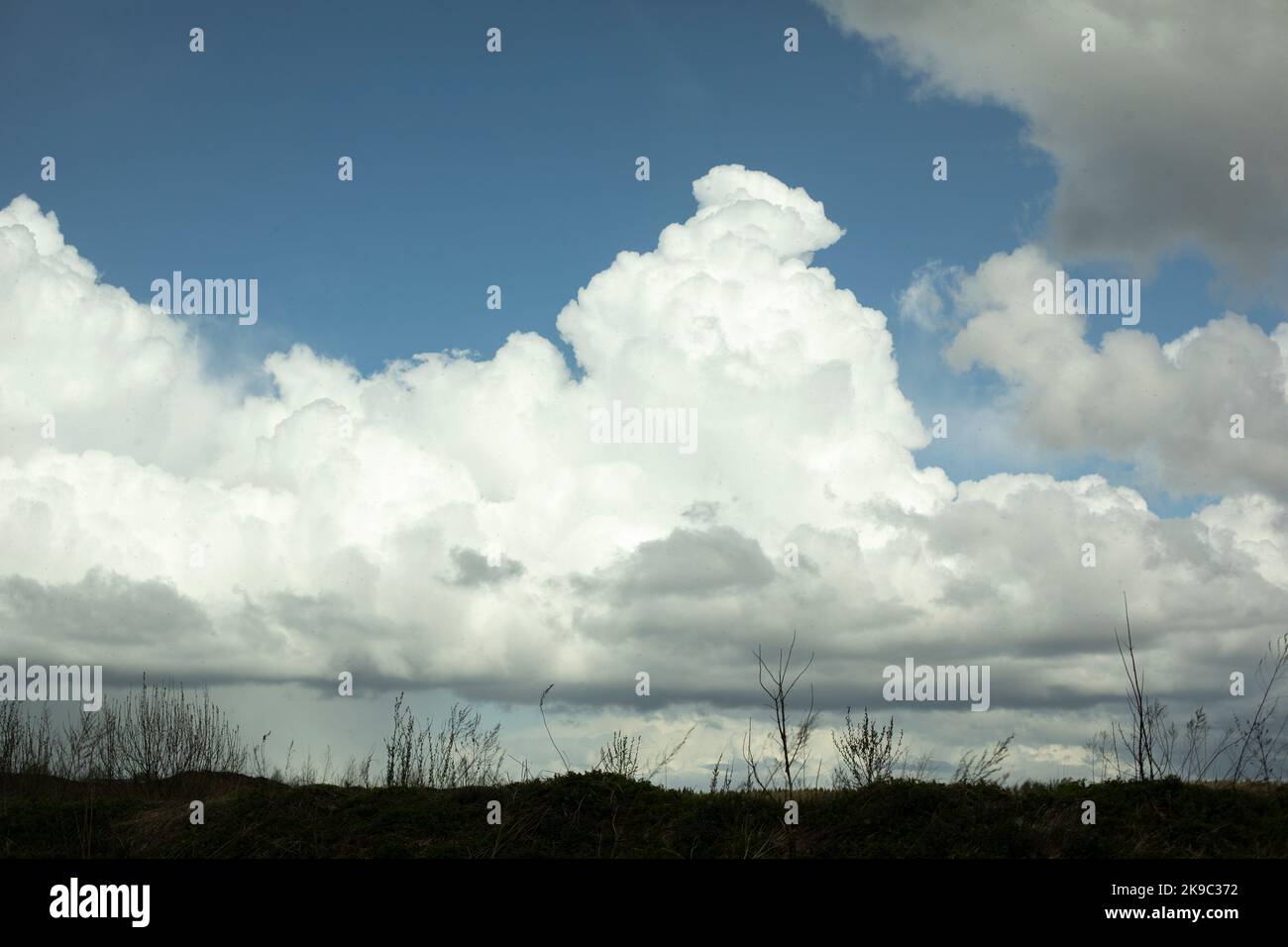 White clouds over forest. Celestial landscape in spring. View of ...