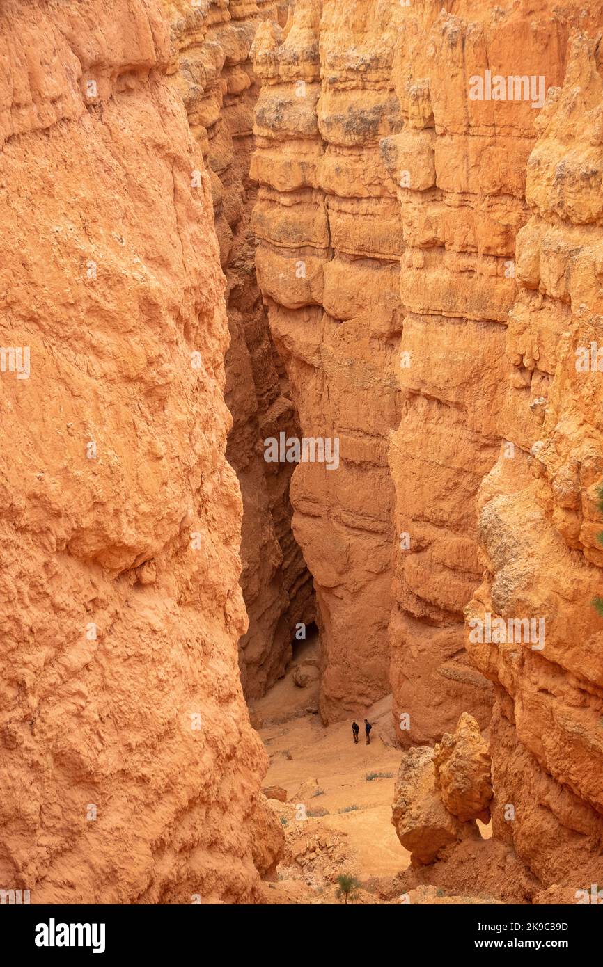 View of Navajo Trail at Bryce Canyon National Park looks like a scene ...