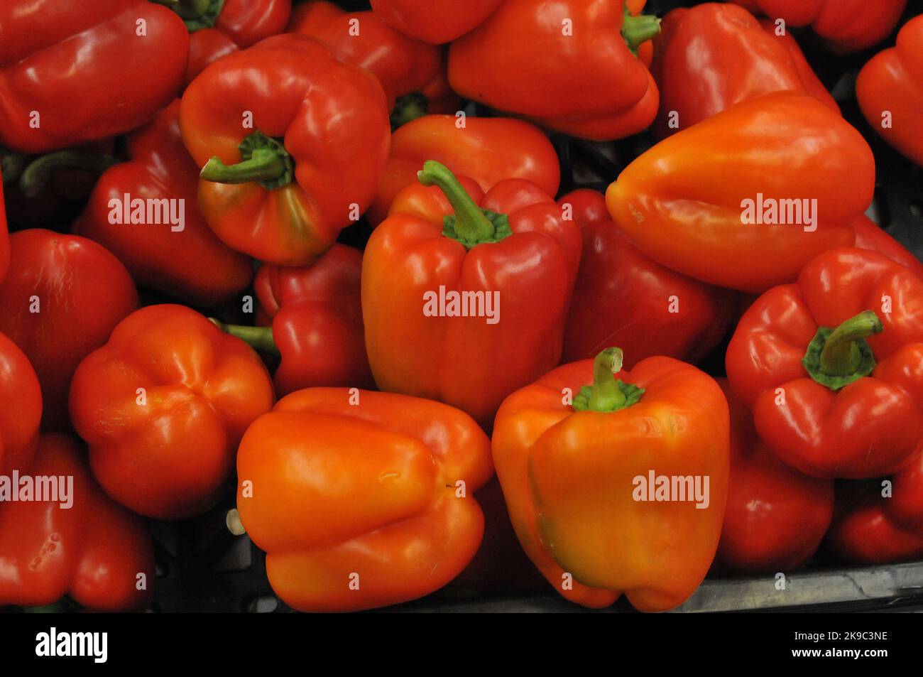 Copenhagen/Denmark/27 October 2022/Red pepper display for sale at ...