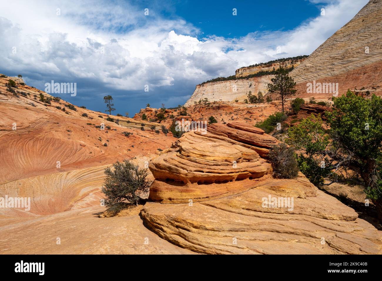 Zion National Park, East Side sandstone flash flood carving Stock Photo ...