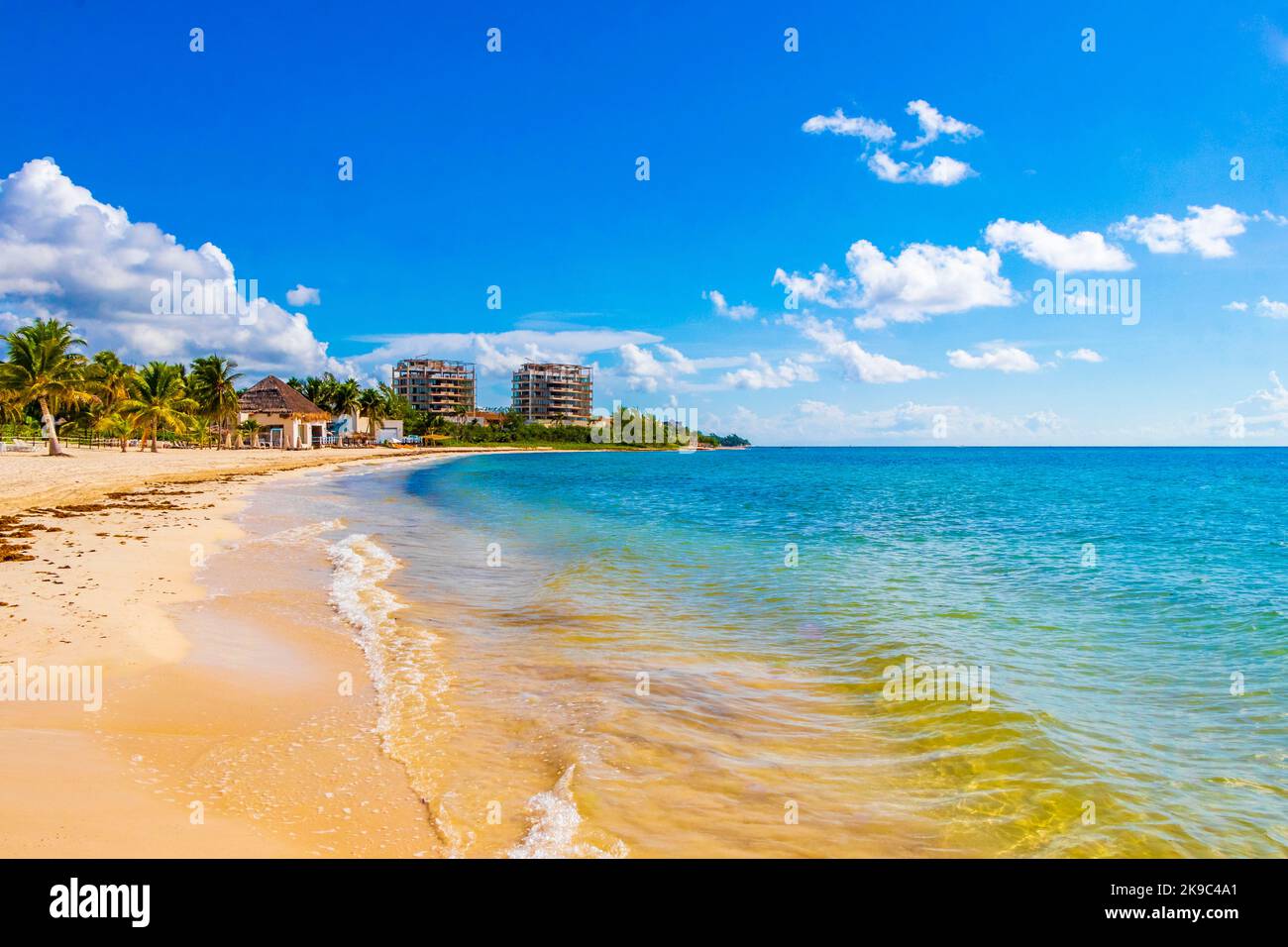Tropical mexican caribbean beach landscape panorama with clear ...
