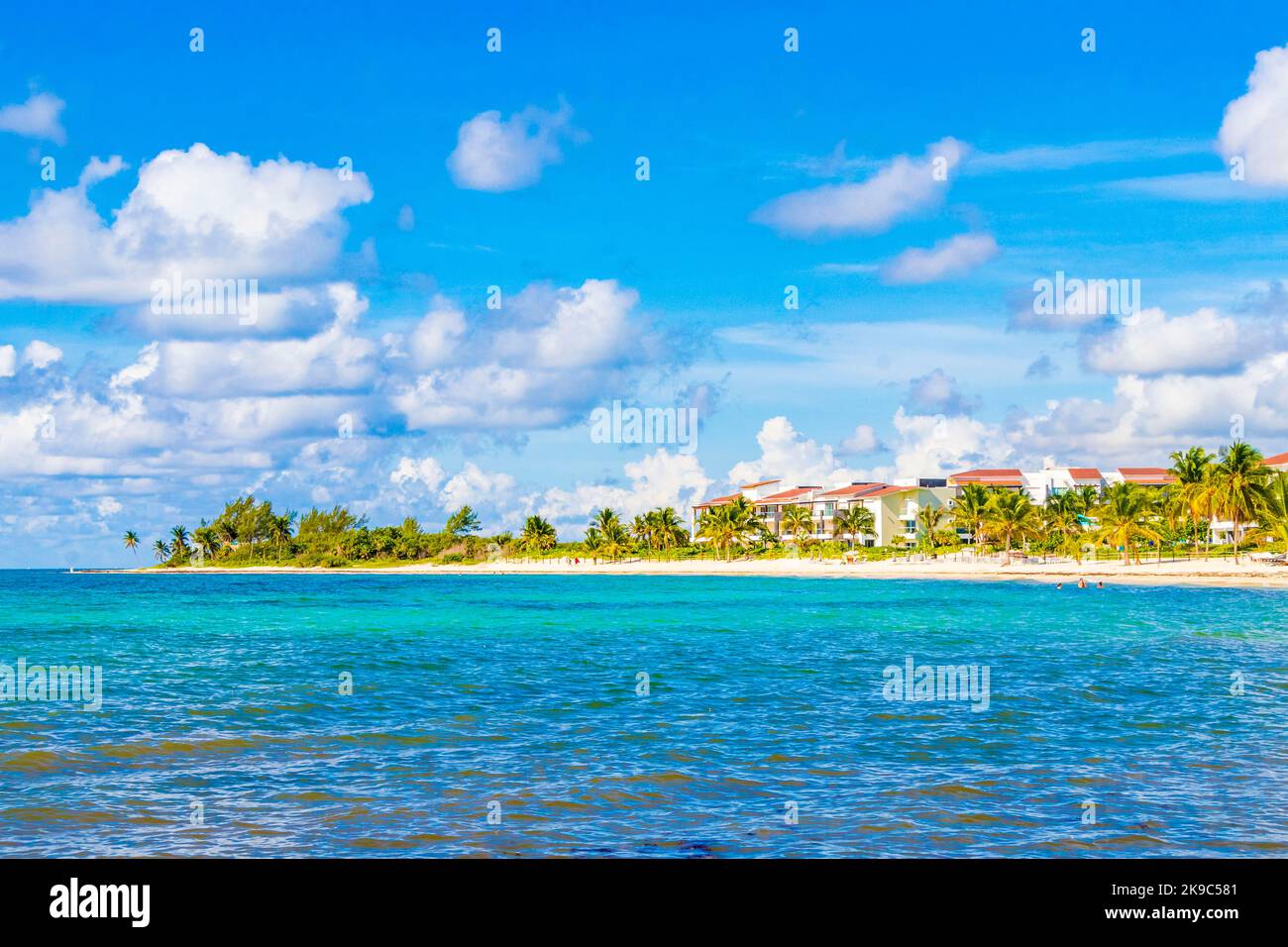 Tropical mexican caribbean beach landscape panorama with clear ...