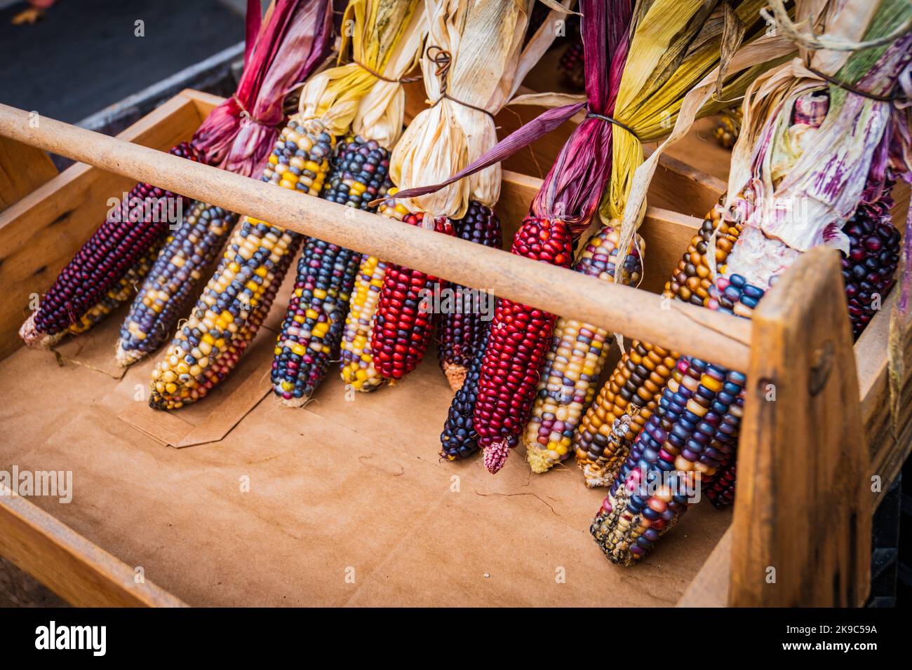 decorative Indian corn with many colored kernels and husks in a wooden ...