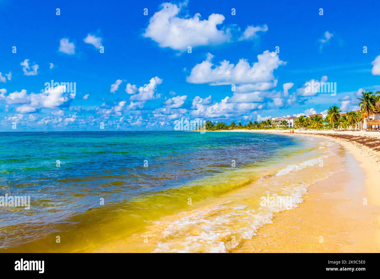 Tropical mexican caribbean beach landscape panorama with clear ...