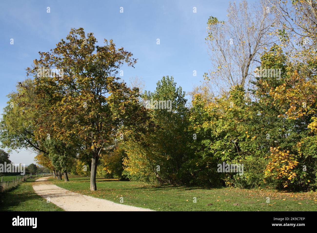 Cycle path on the river Main in Frankfurt Schwanheim Stock Photo - Alamy