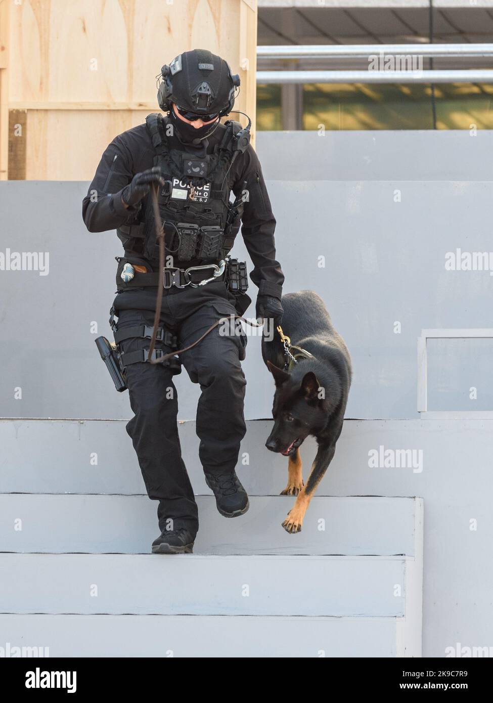 Defense Intelligence Agency Police