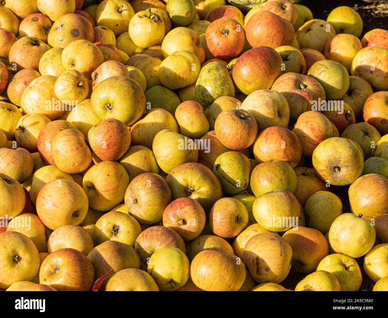 Food glut hi-res stock photography and images - Alamy