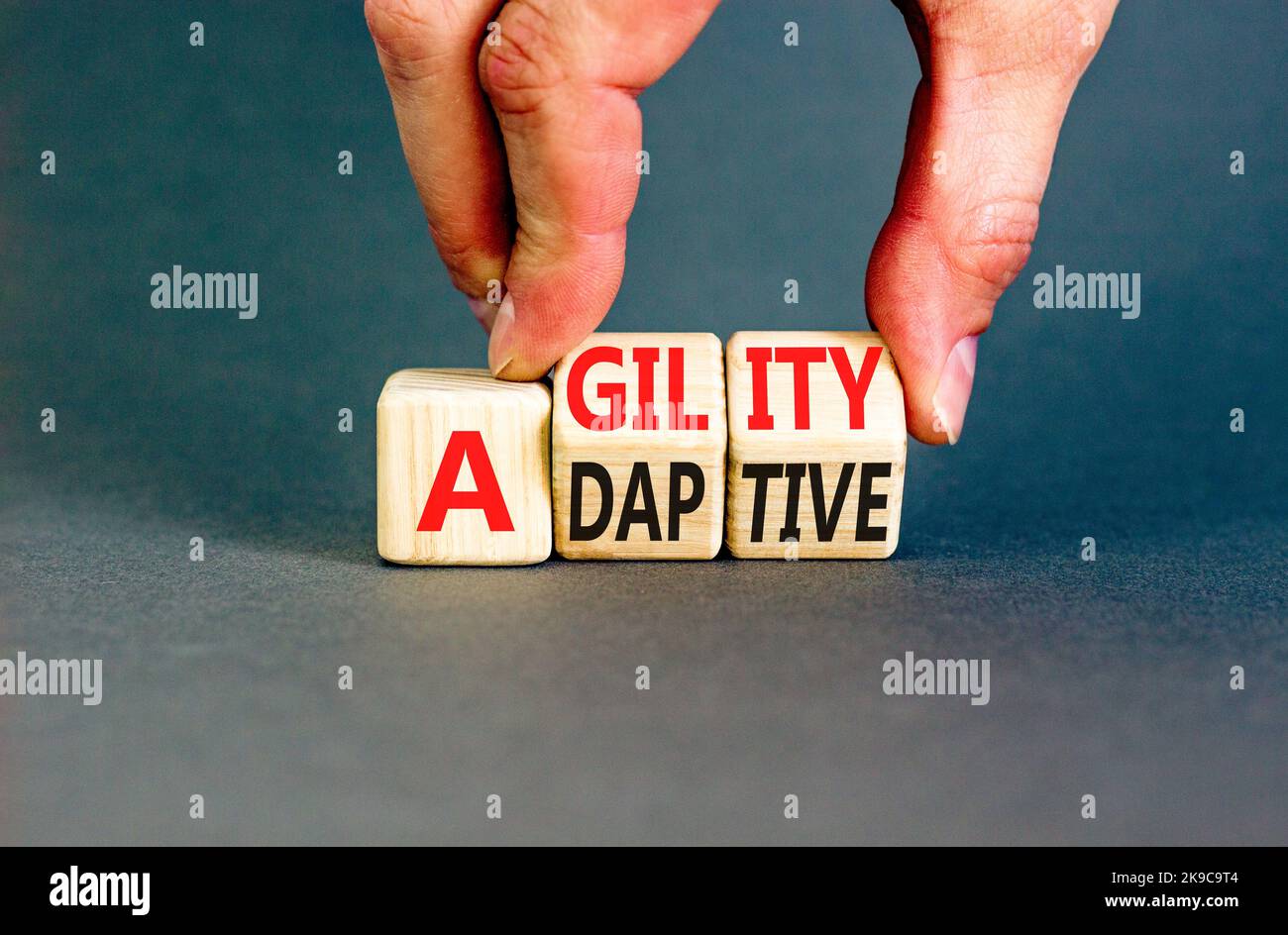 Agility and adaptive symbol. Concept words Agility and Adaptive on ...