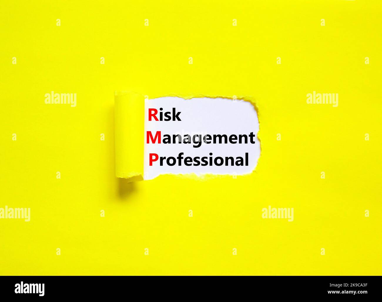 RMP risk management professional symbol. Concept words RMP risk ...