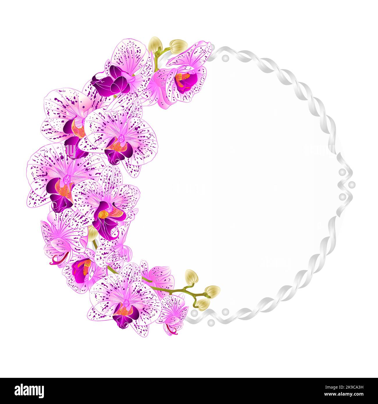 Floral vector round frame with orchids purple and white flowers ...