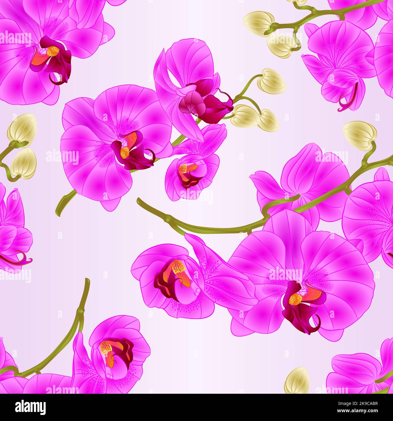 Seamless Texture Branchs Orchids Flowers Purple Phalaenopsis Tropical