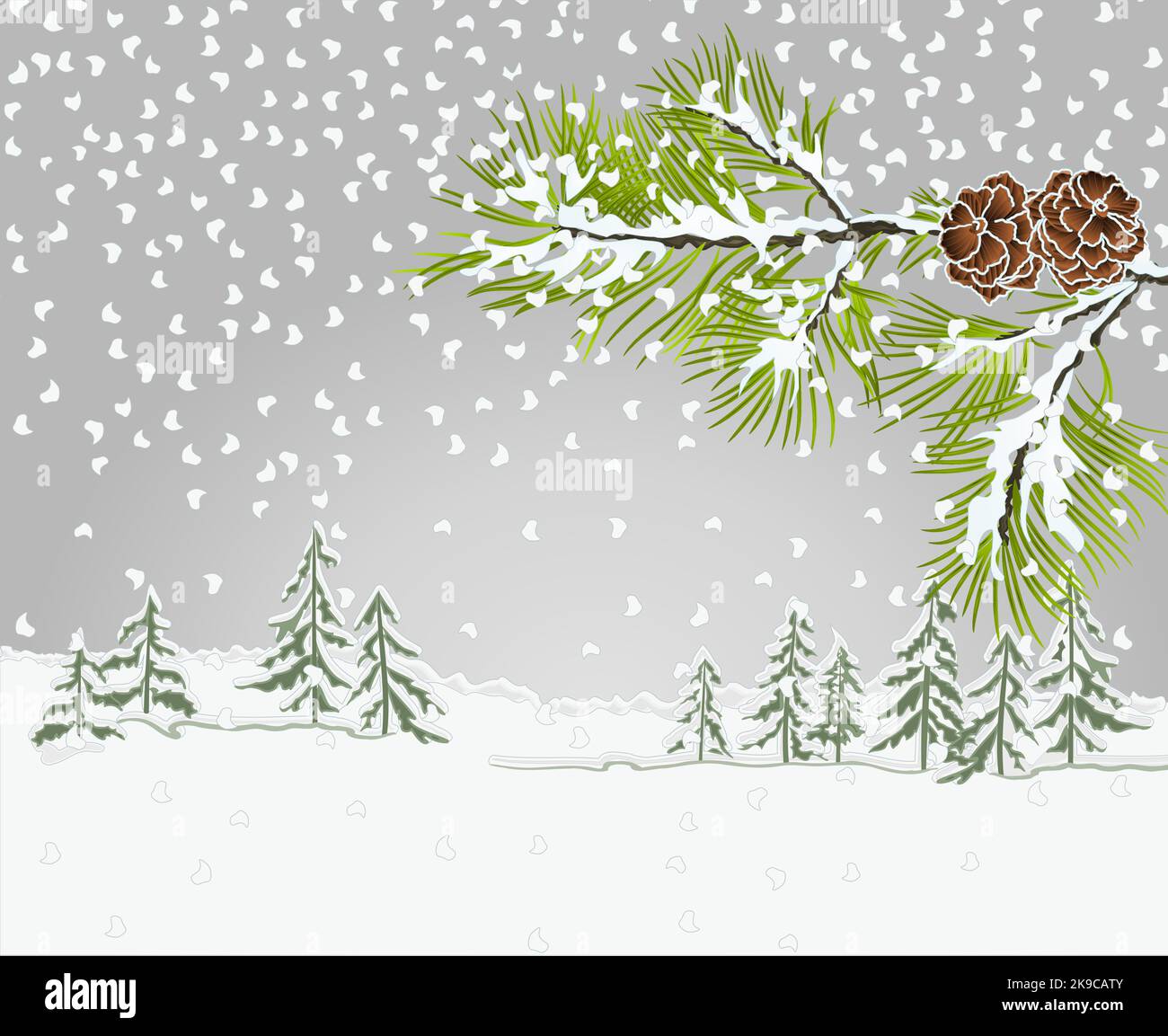 Winter landscape Conifer Branch Pine with pine cones with snow ...