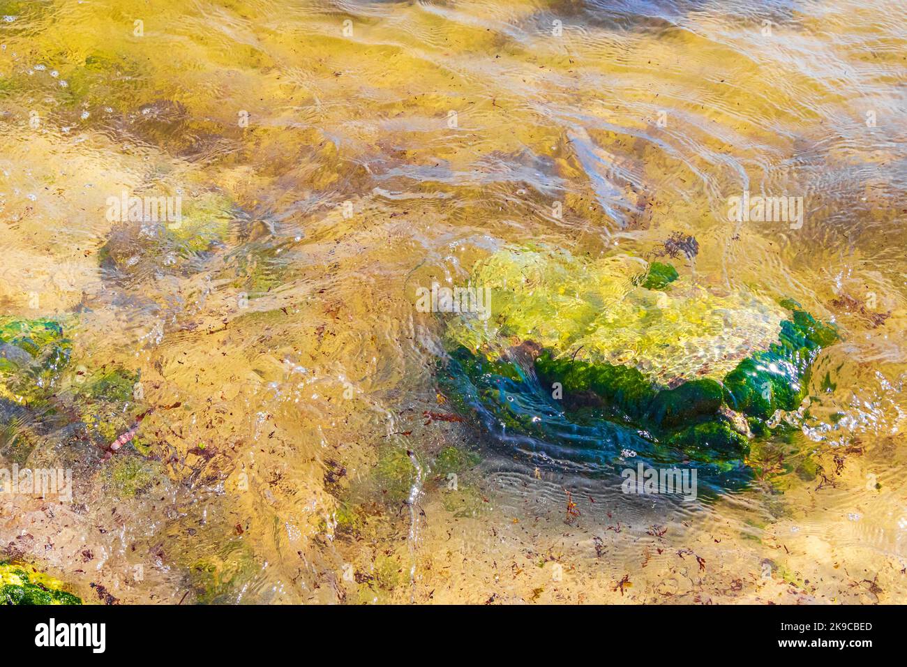 Stones rocks and corals in turquoise green and blue water on the beach ...