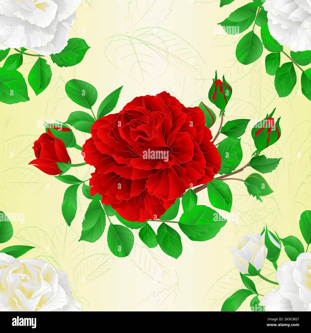 Seamless texture white and red Roses with buds and leaves vintage Festive background vector ...