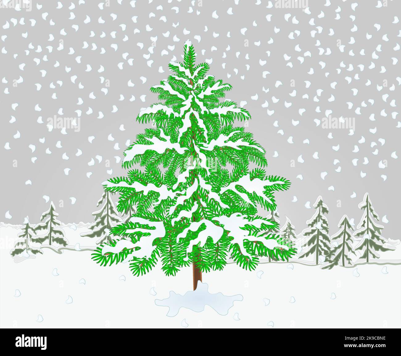 Winter landscape Spruce tree with snow christmas theme natural ...