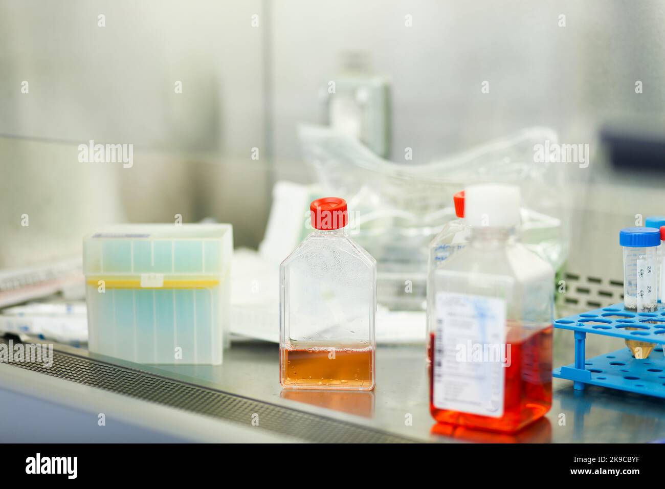 cell culture, medicine, medical and biology laboratory Stock Photo - Alamy
