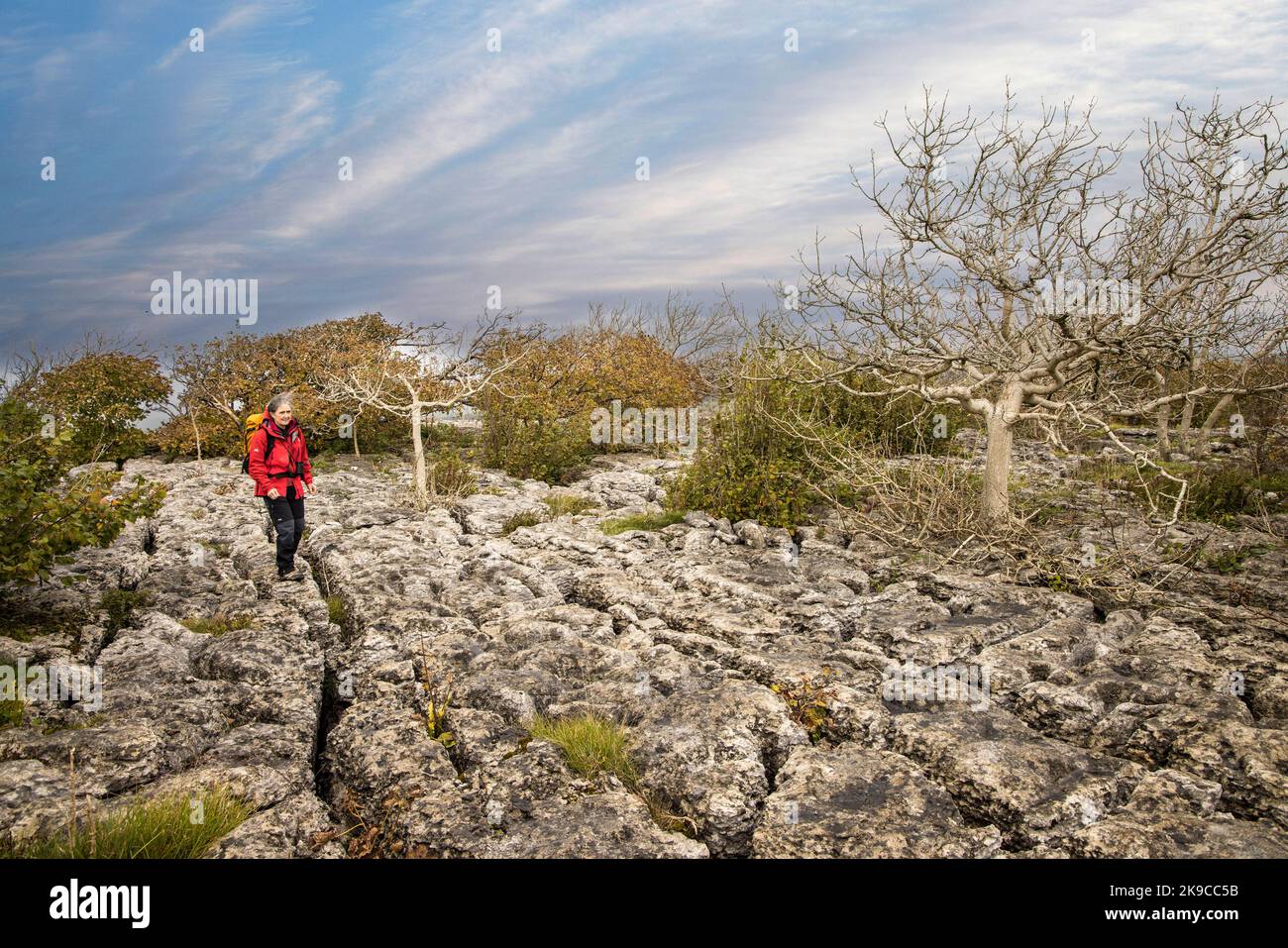 Limestone pavement, Hampsfell, Cumbria, UK Stock Photo - Alamy