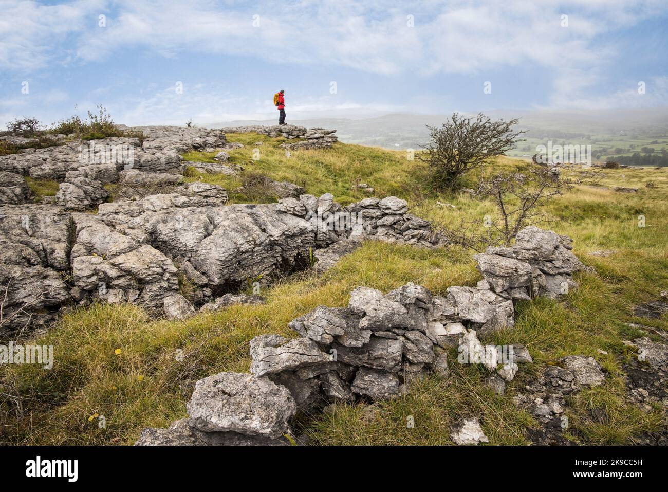 Limestone pavement, Hampsfell, Cumbria, UK Stock Photo - Alamy