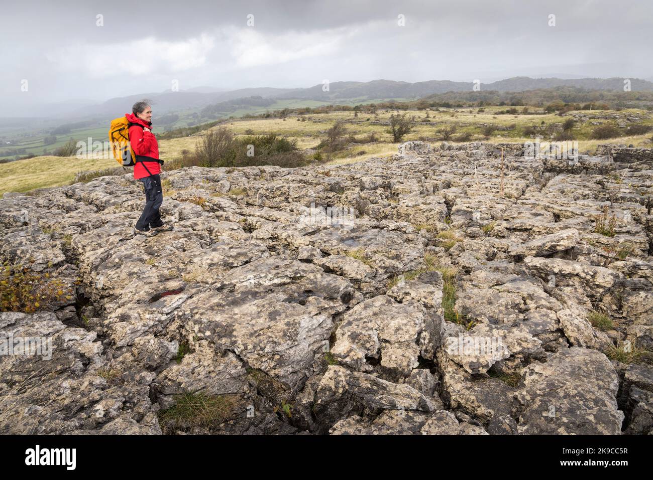 Limestone pavement, Hampsfell, Cumbria, UK Stock Photo - Alamy