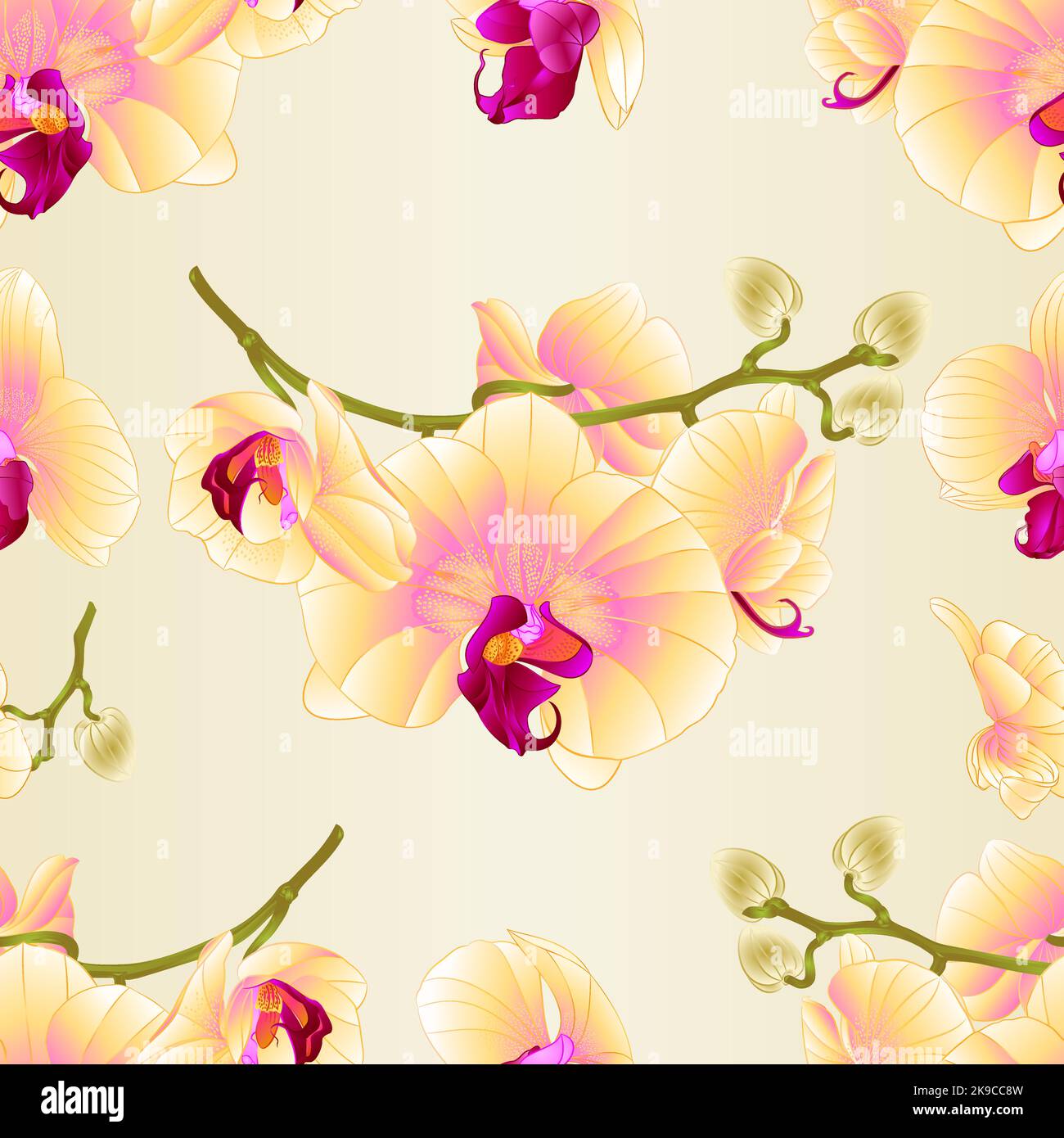 Seamless texture branch orchids flowers yellow Phalaenopsis tropical ...