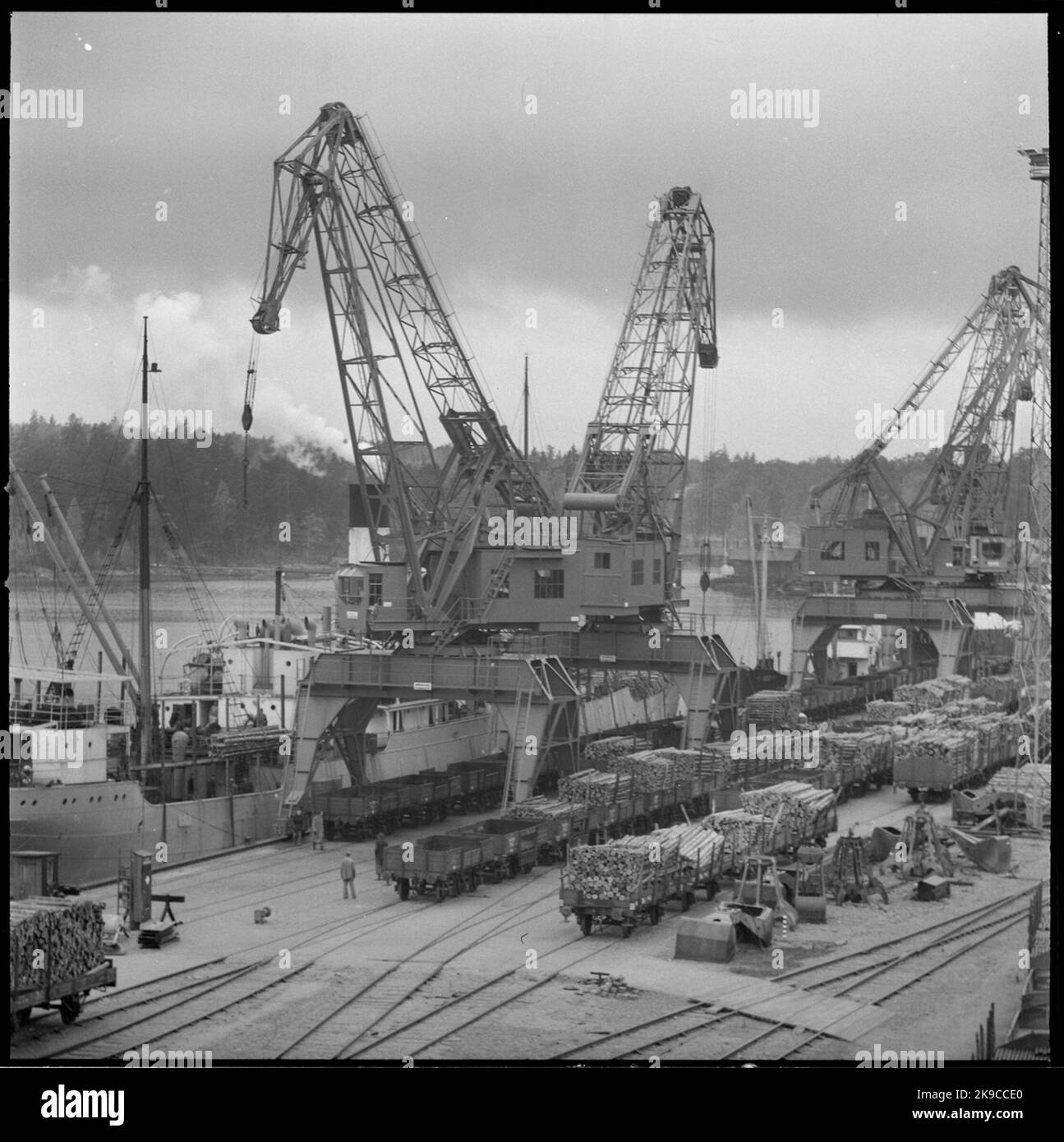 Loading of timber Stock Photo - Alamy