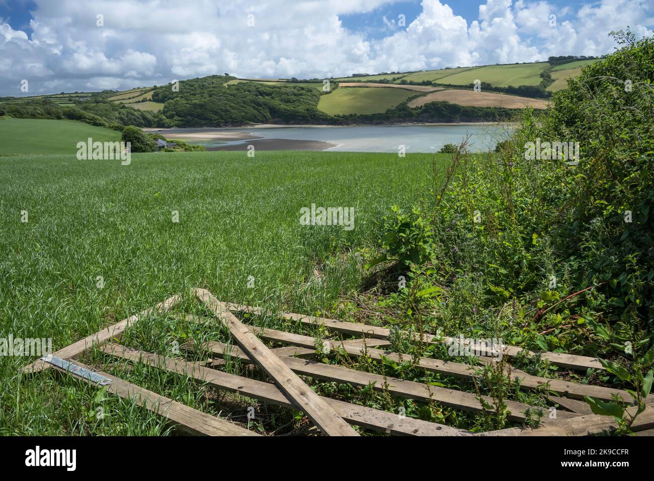 Viewing the field and gate at Mothecombe, Devon, UK Stock Photo - Alamy