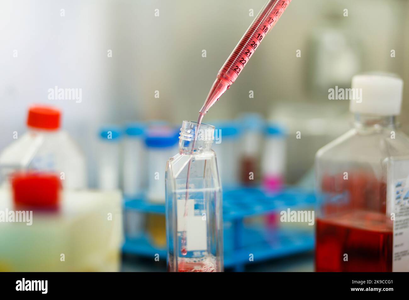 cell culture, medicine, medical and biology laboratory Stock Photo - Alamy